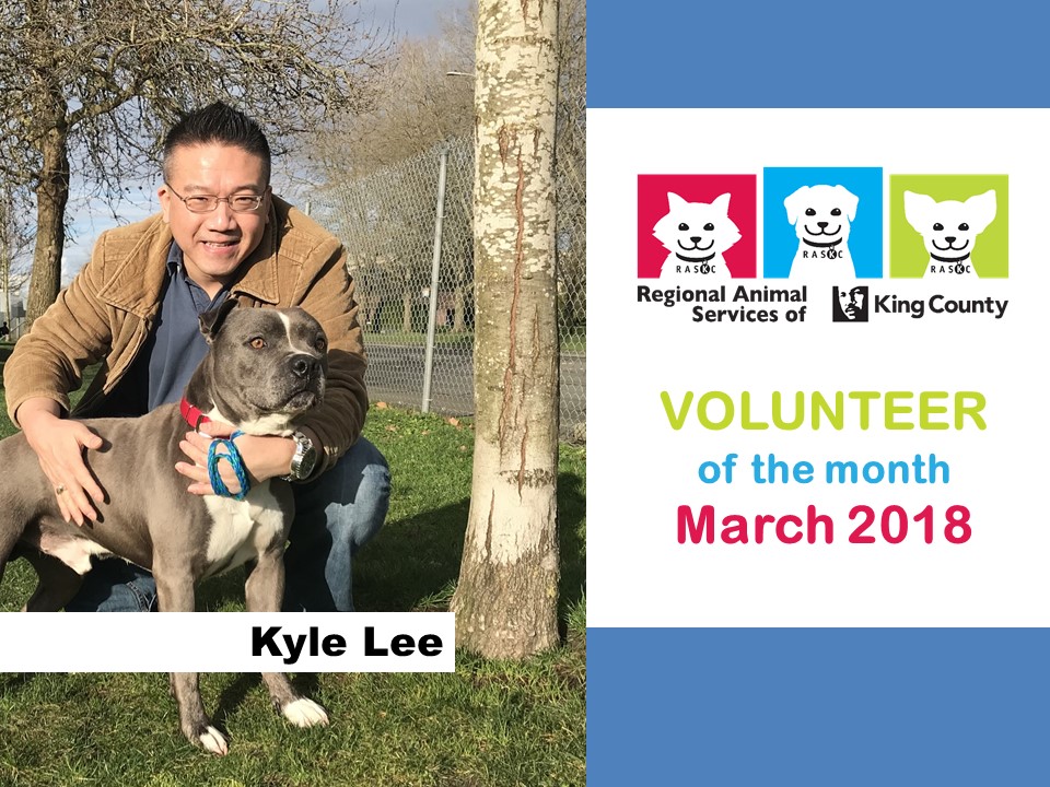 2018 March Volunteer of the Month: Kyle Lee | Tails from RASKC